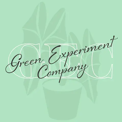 How To Care For A Pink Quill Plant – The Green Experiment Company